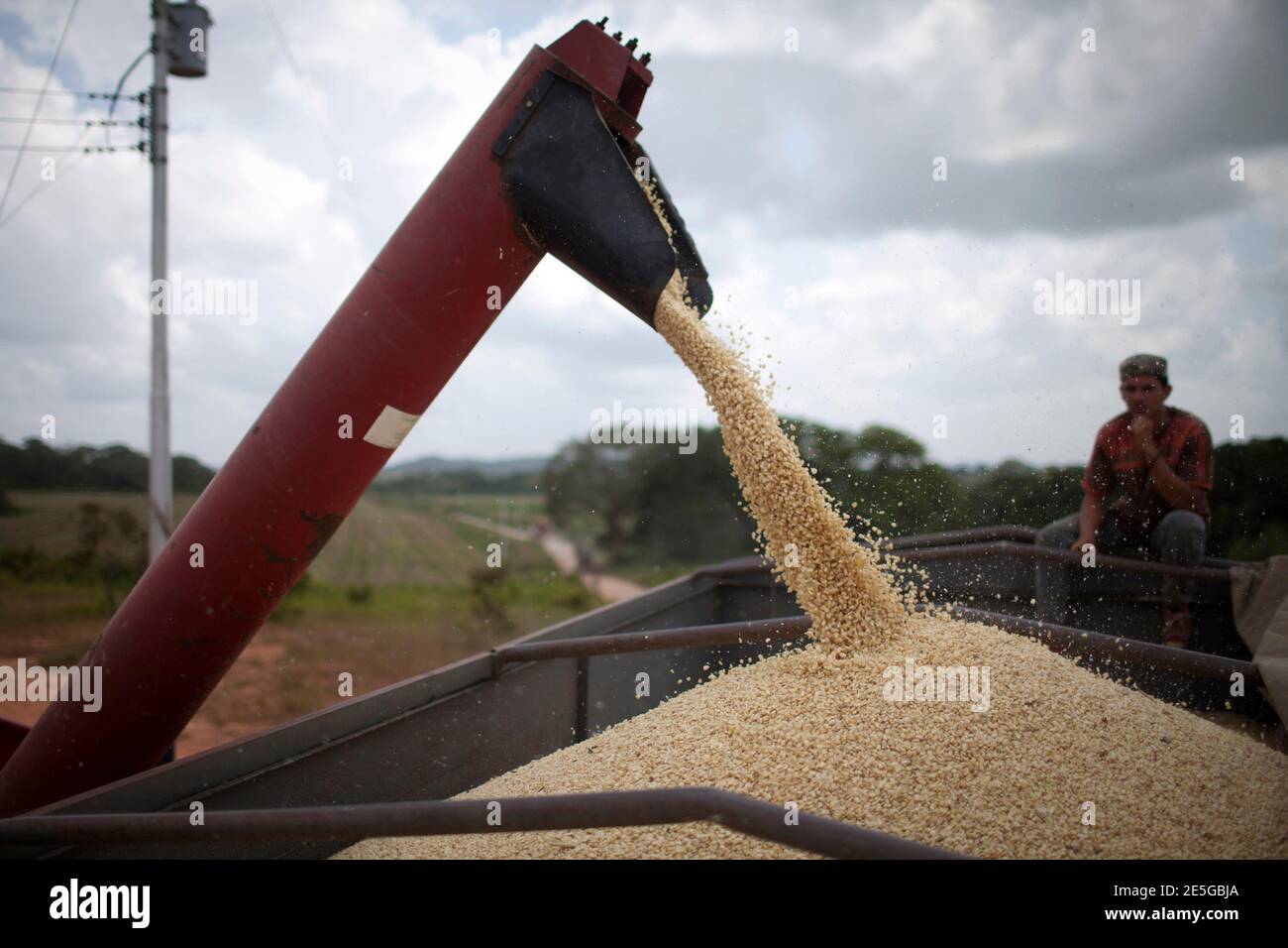 1920s cattle industry hi-res stock photography and images - Alamy