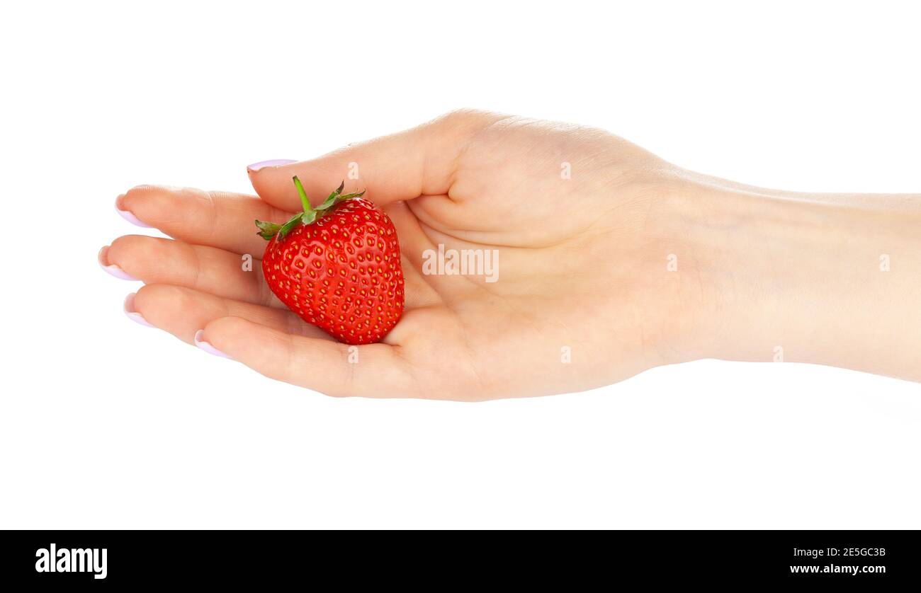 hand holding a strawberry isolated on white background Stock Photo - Alamy