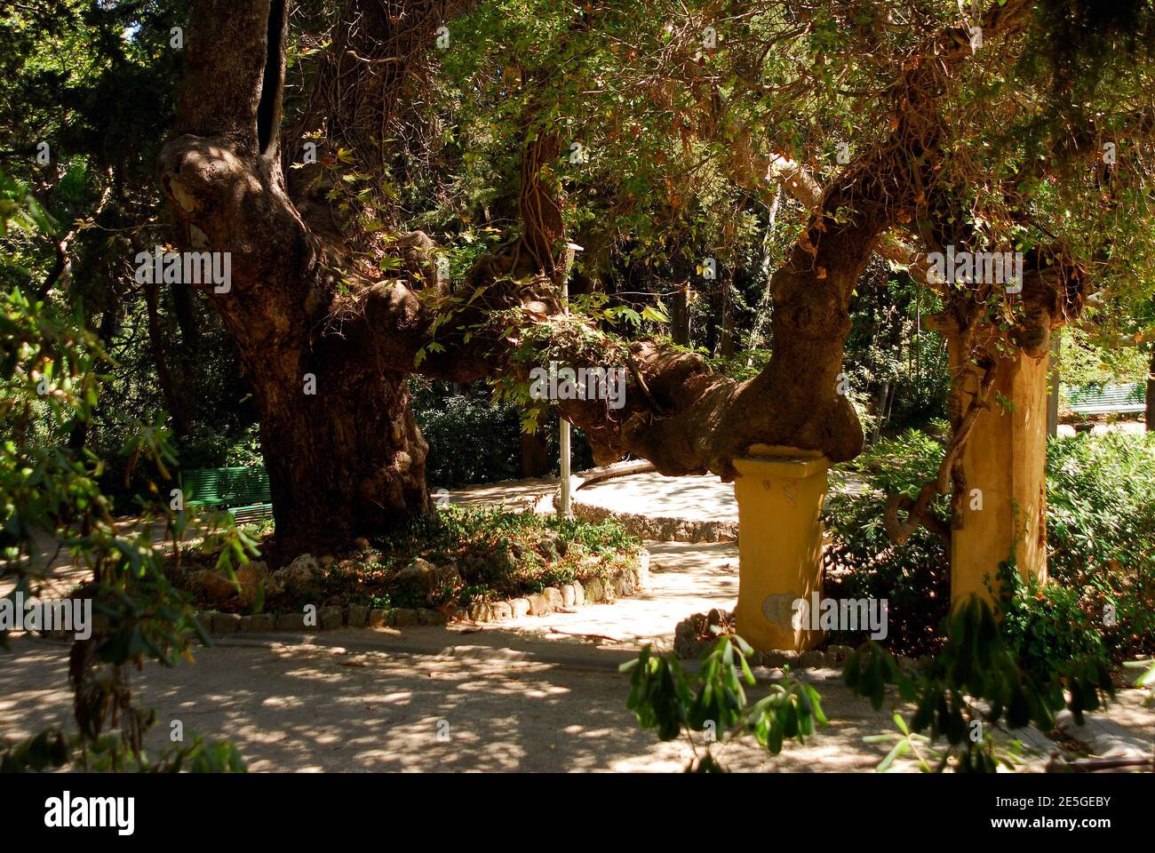 Rhodes Rodini park, Valley of Butterflies and Theologos village 2 9 ...