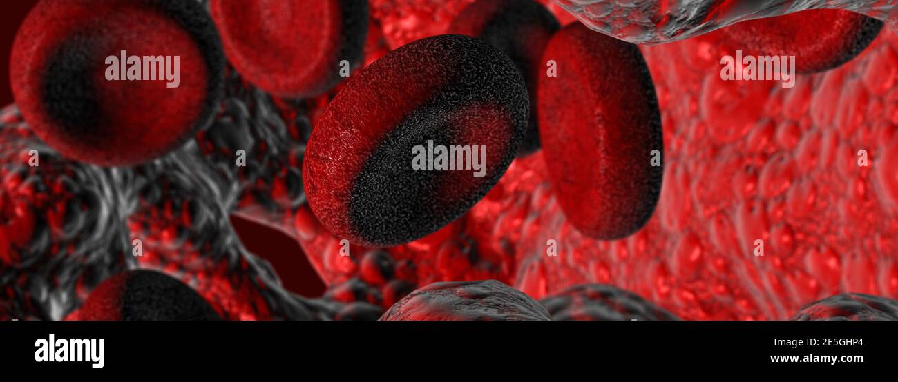 Blood cells floating in a vein 3d render Stock Photo - Alamy