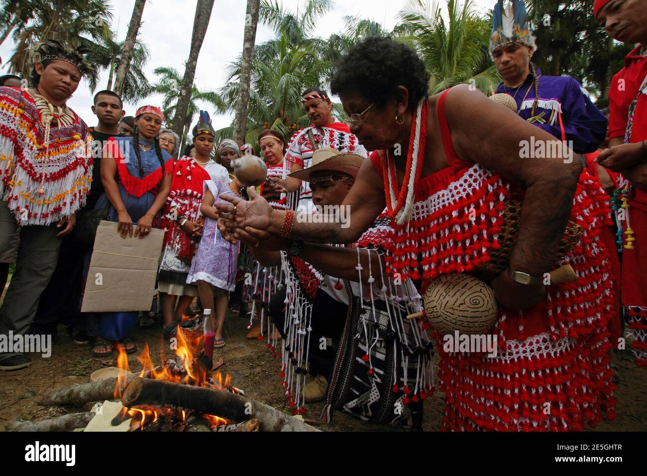 Suriname canada hi-res stock photography and images - Alamy