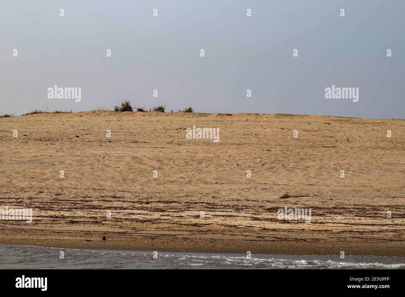 Riverside weeds hi-res stock photography and images - Alamy