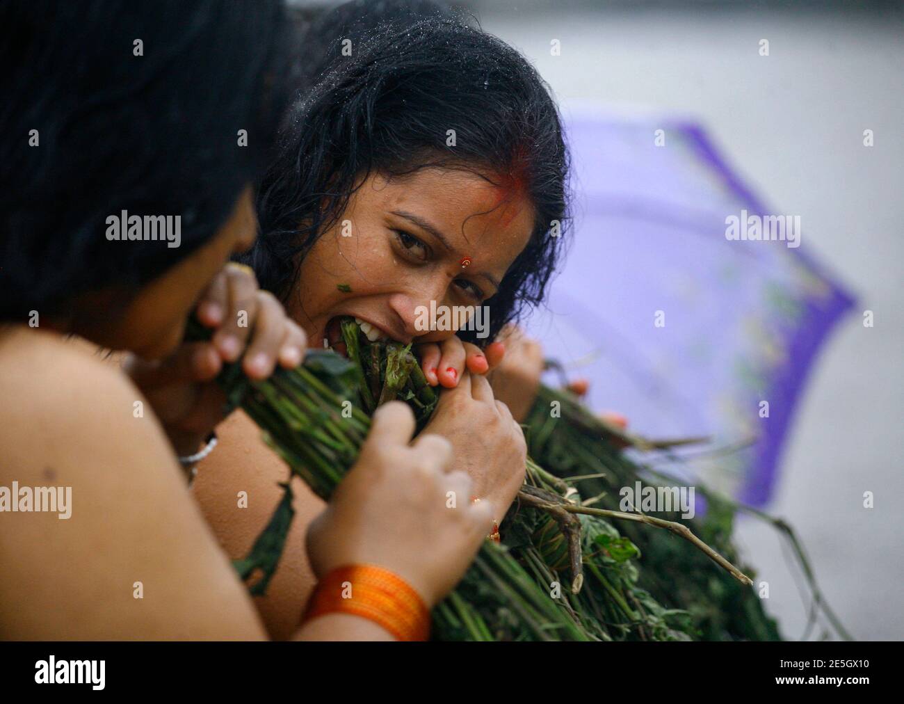 Aghada plant hi-res stock photography and images - Alamy
