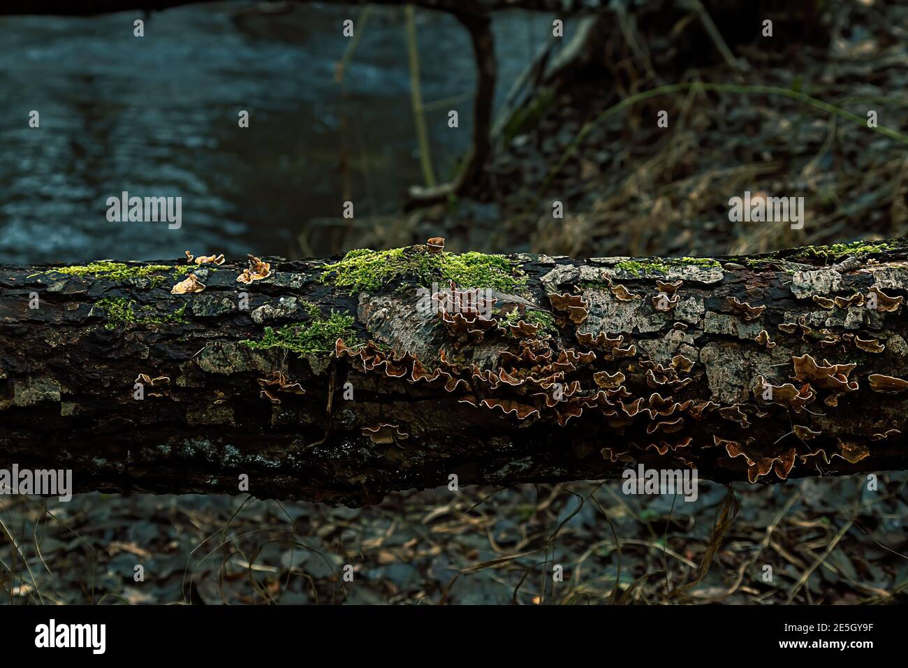 Deep cold water hi-res stock photography and images - Alamy