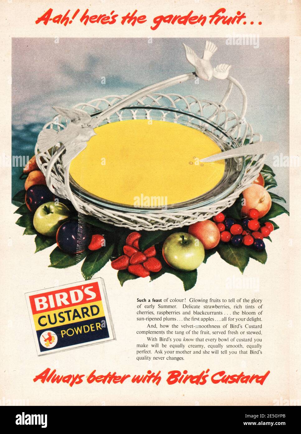 1950 UK Advert Bird's Custard Stock Photo - Alamy
