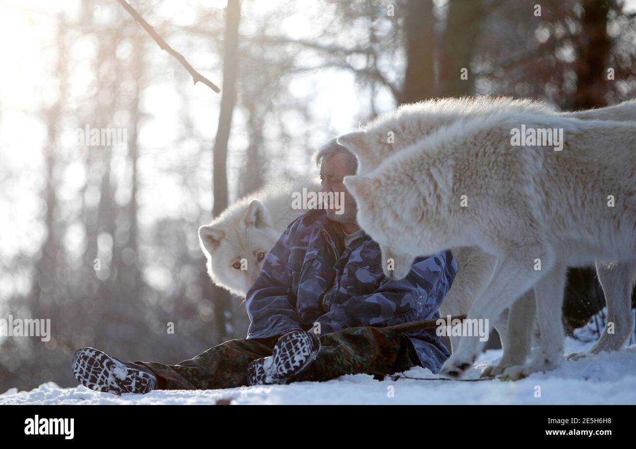 German wolf packs hi-res stock photography and images - Alamy