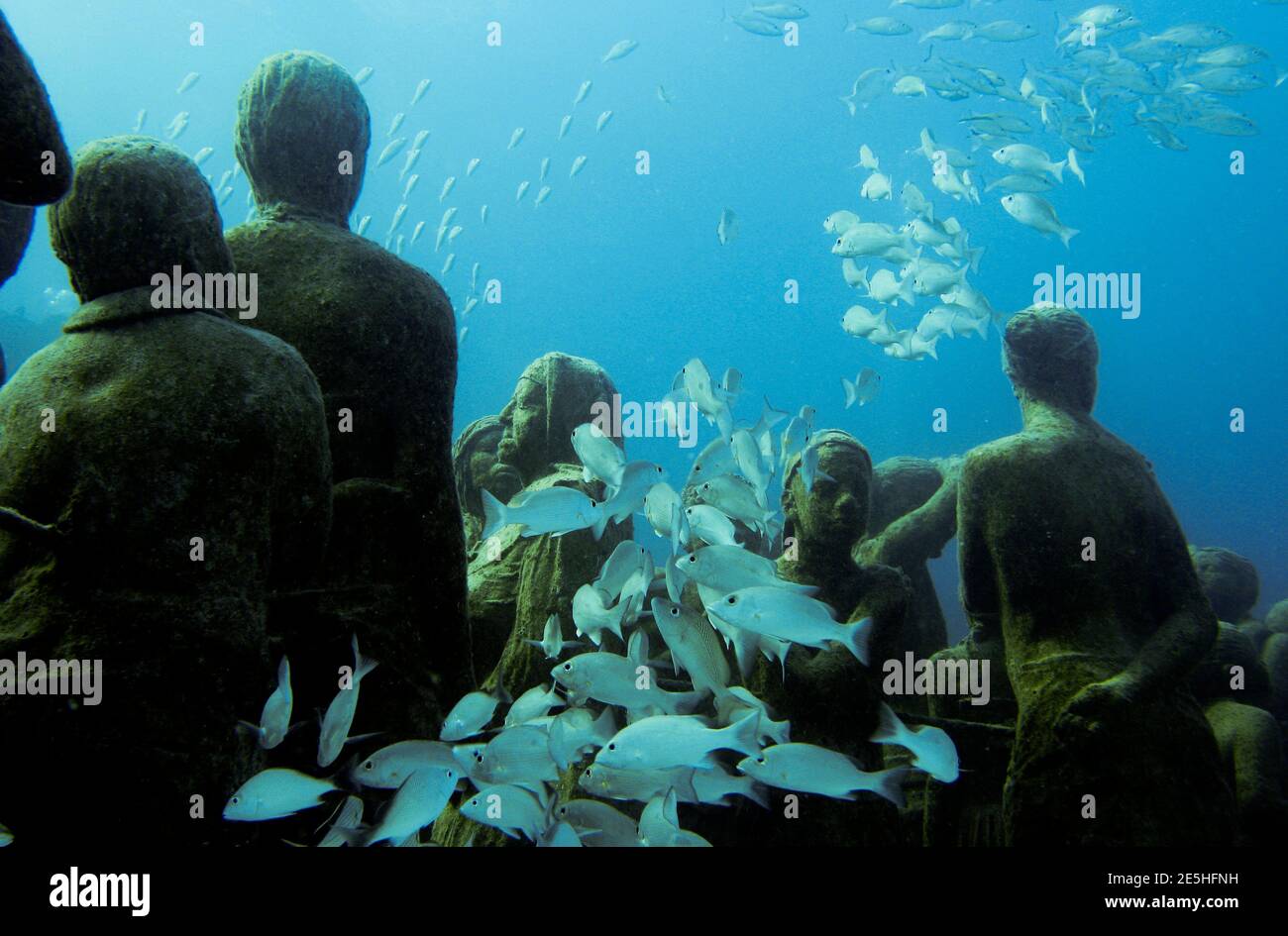 Underwater sculpture installation silent evolution hi-res stock ...