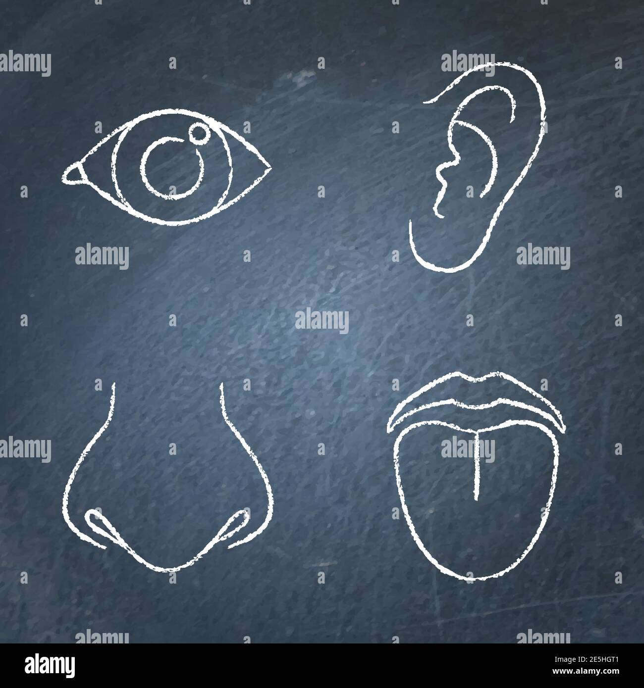 Sense organ icon sketch set on chalkboard. Human perception elements ...