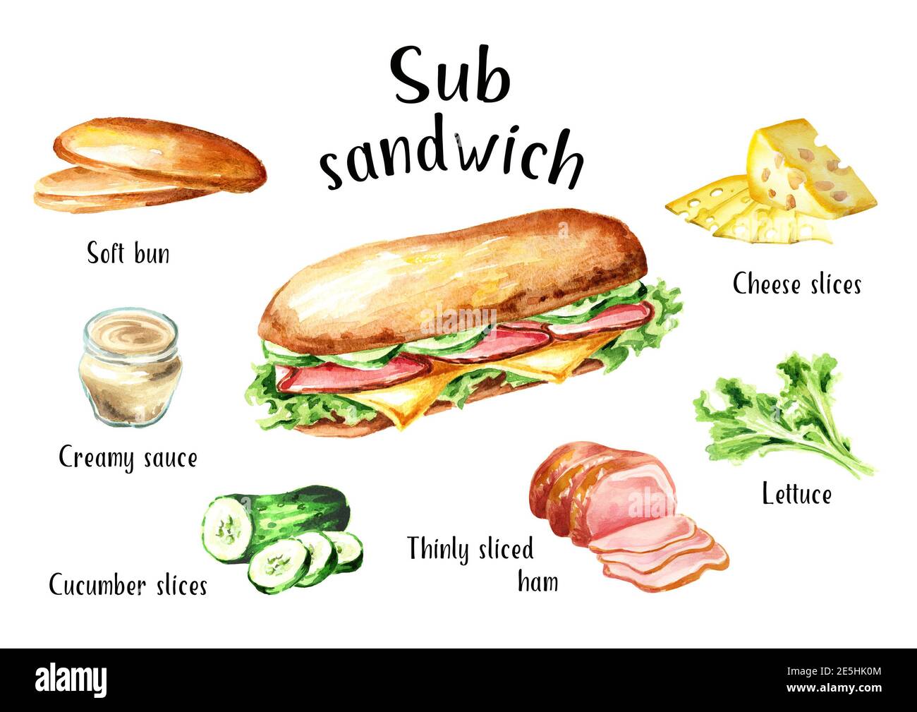 Sub Sandwich with ham, cheese and vegetables ingredients set ...