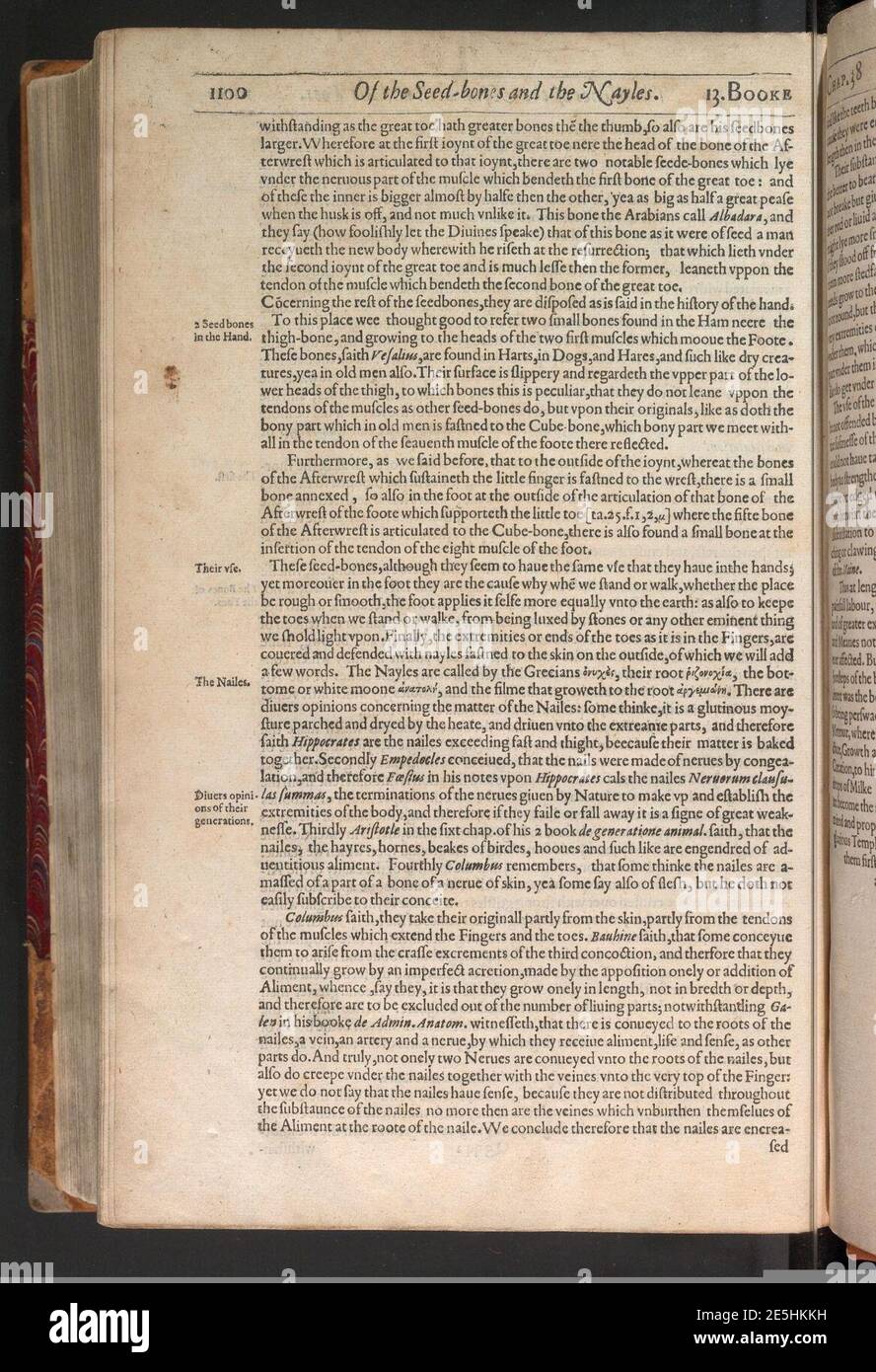 Microcosmographia, Crooke, 1615 - 1022 Stock Photo - Alamy