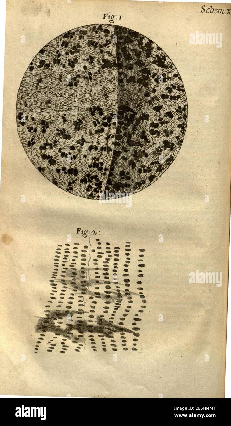 Micrographia, or, Some physiological descriptions of minute bodies made ...
