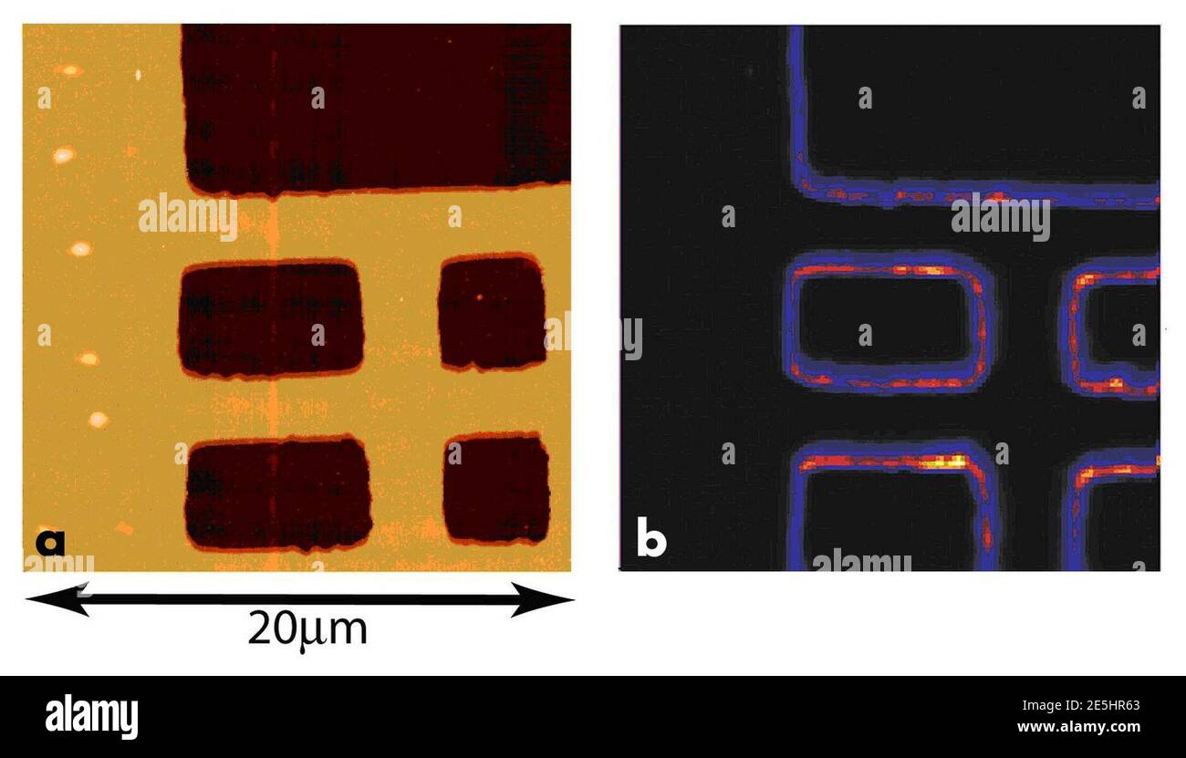 Microscopy, Scanning Photoionization Imagery, SPIM Image (5940488089 ...