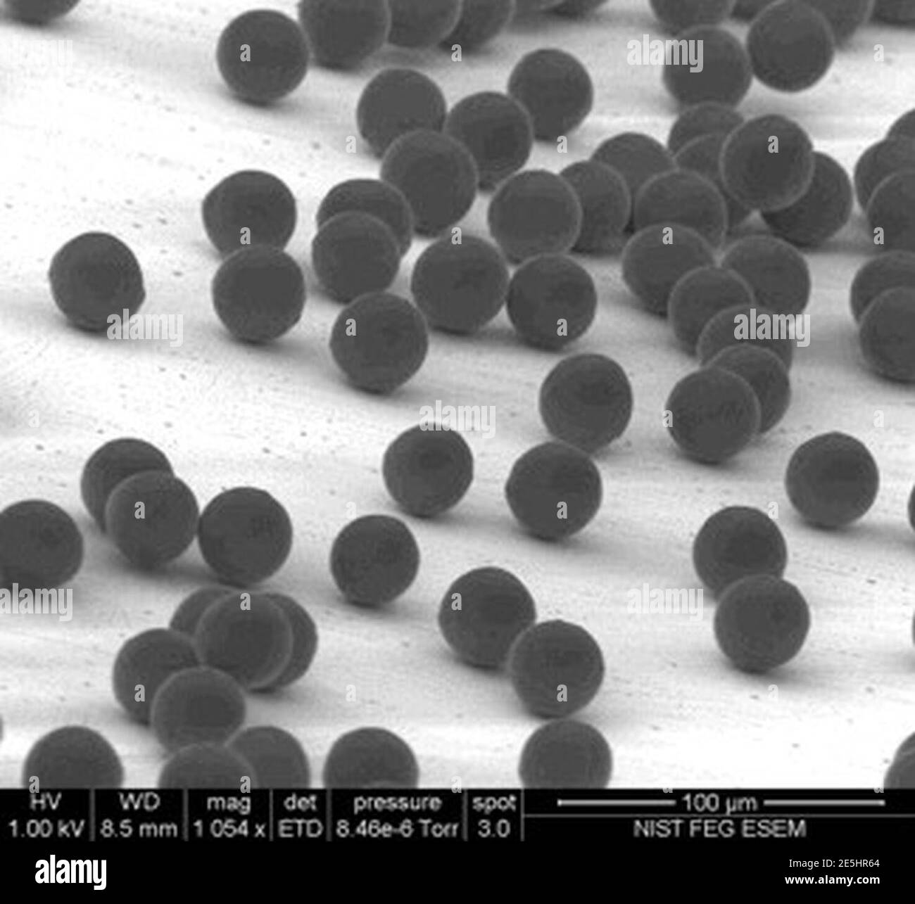 Microspheres hi-res stock photography and images - Alamy