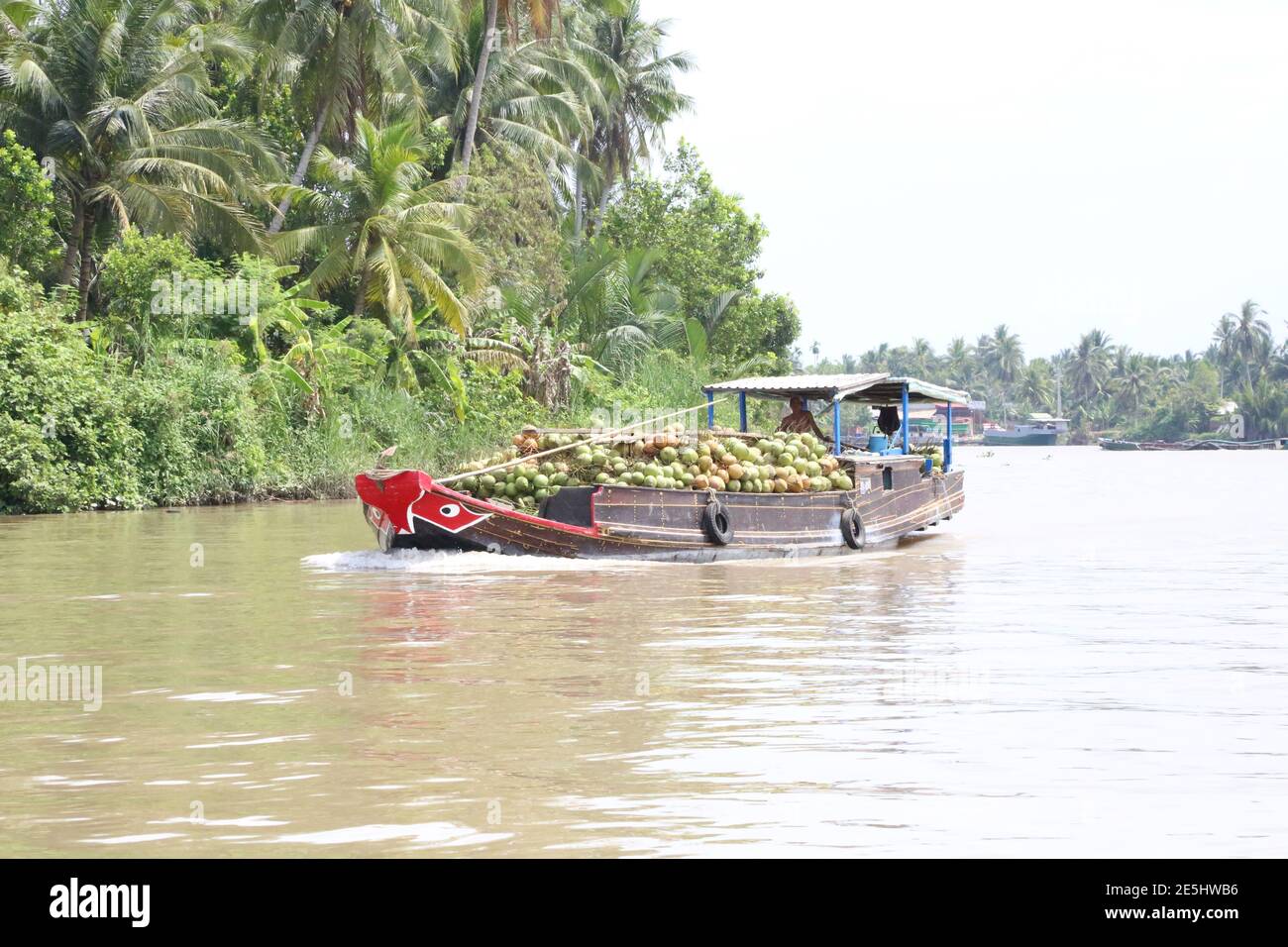 Ben Tre, Vietnam - April 29 2014: Cargo barges with coconuts floating ...