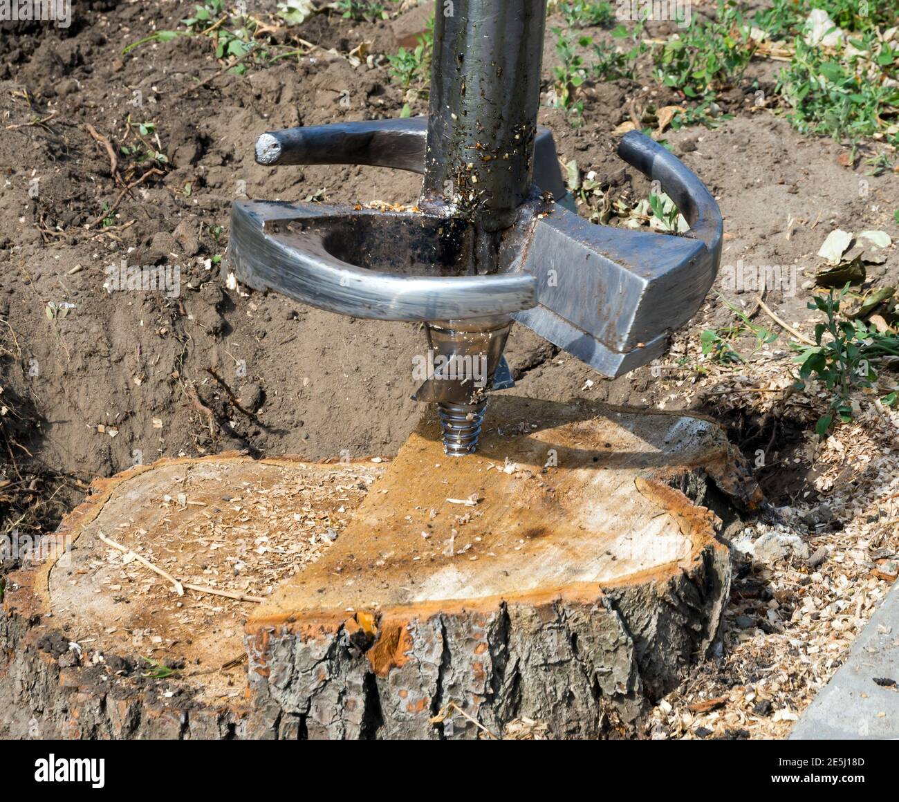 Mechanical lifting of a stump using a rotating cutter Stock Photo - Alamy