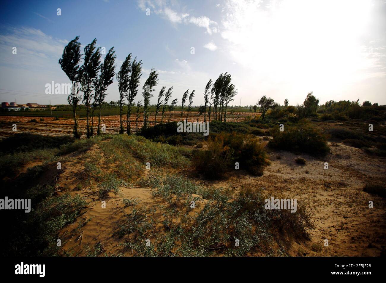 Outskirts of town in desert hi-res stock photography and images - Alamy