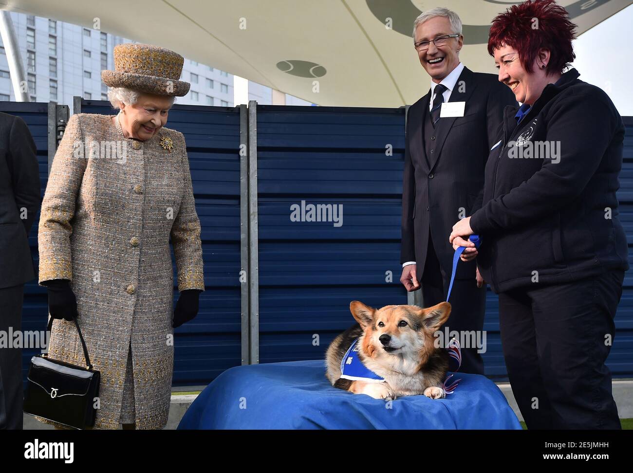Paul o'grady dog hi-res stock photography and images - Alamy