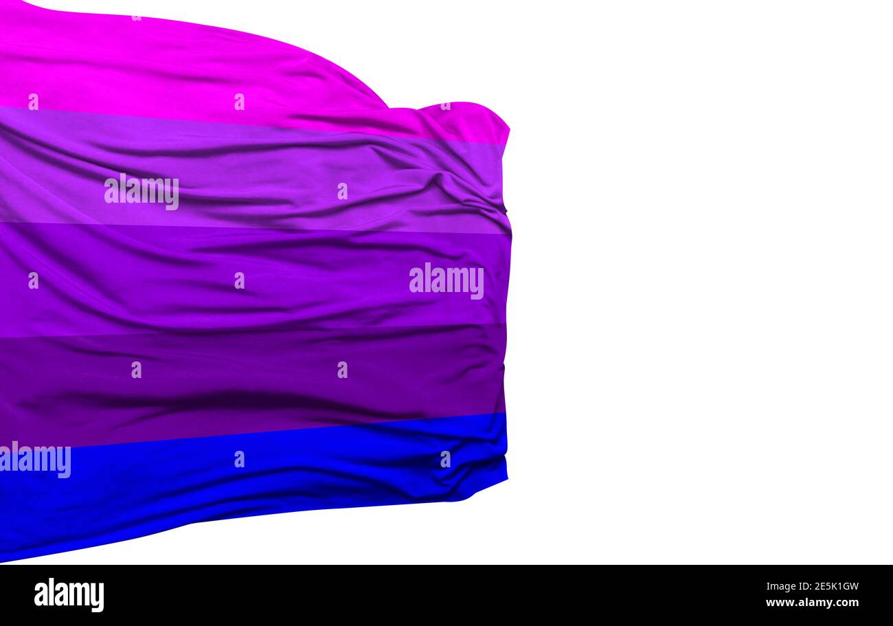 Alternative Transgender pride flag isolated on white background Stock ...