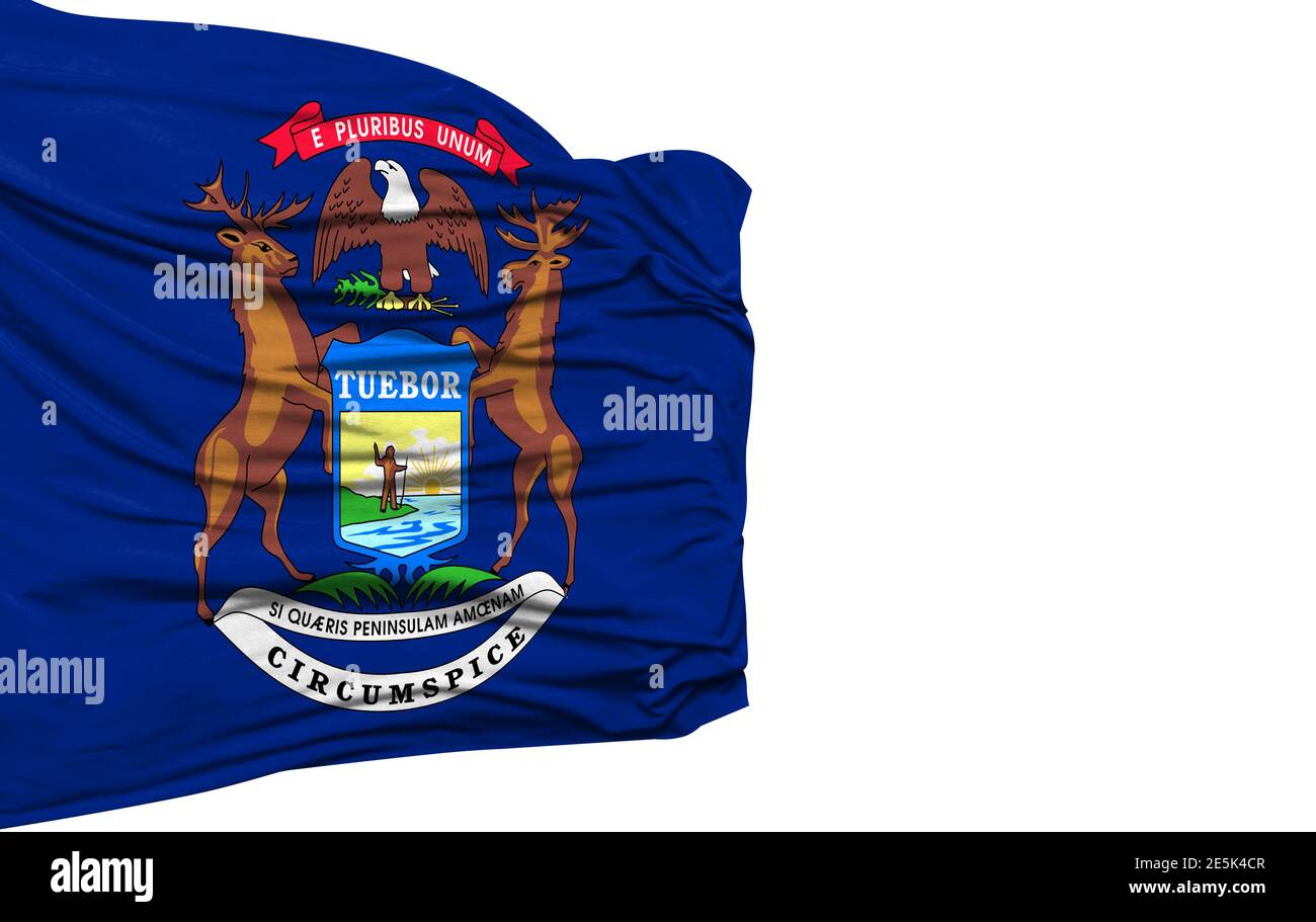 State of Michigan flag isolated on white background Stock Photo - Alamy