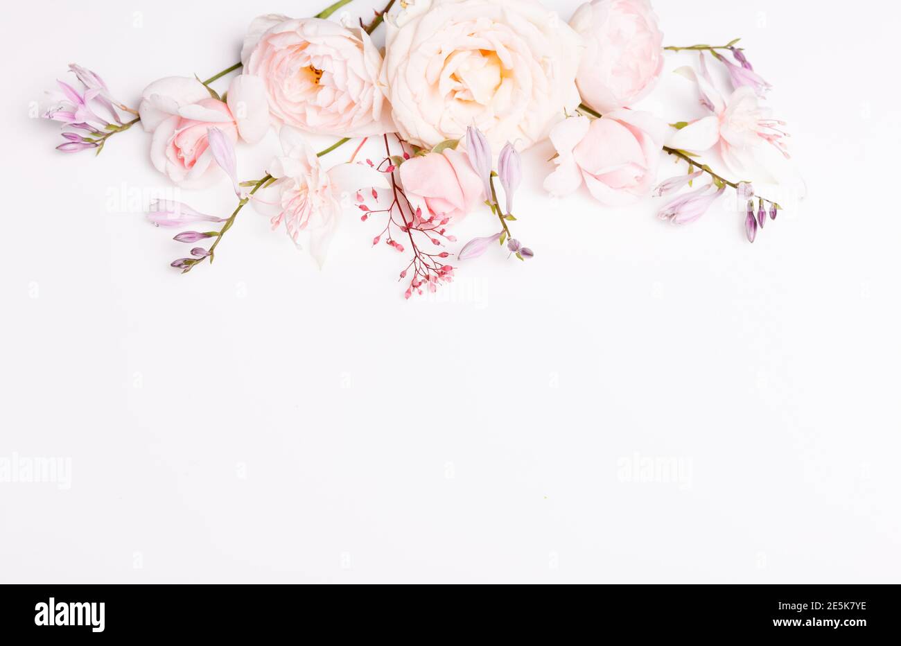 Festive flower composition on the white background. Overhead view Stock ...