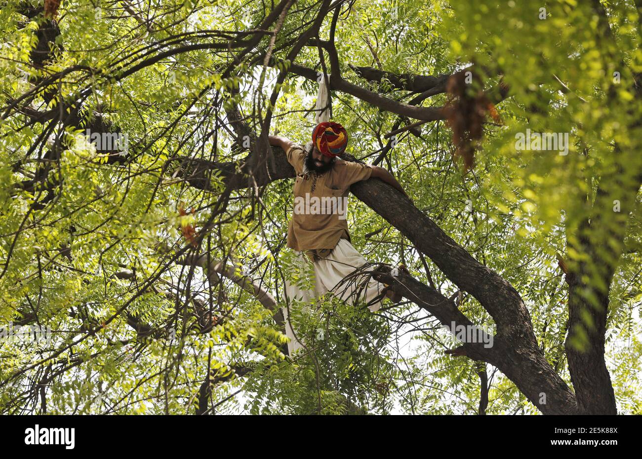 Man hanged on a tree hi-res stock photography and images - Alamy