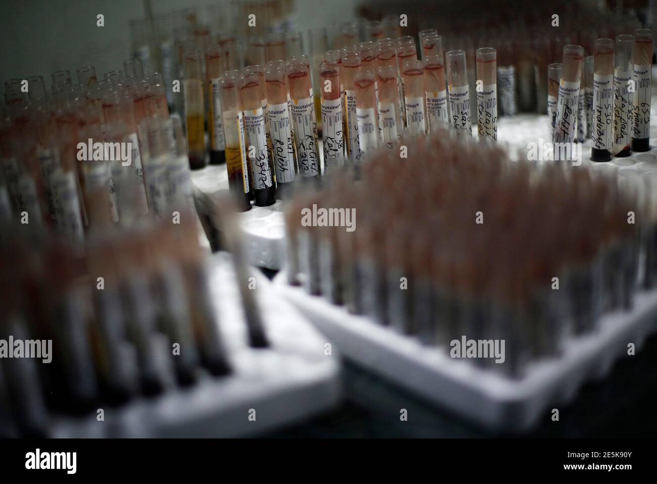 Blood Indicators High Resolution Stock Photography and Images - Alamy