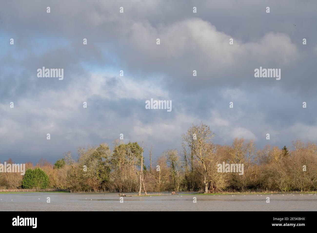 Environment flooding hi-res stock photography and images - Alamy
