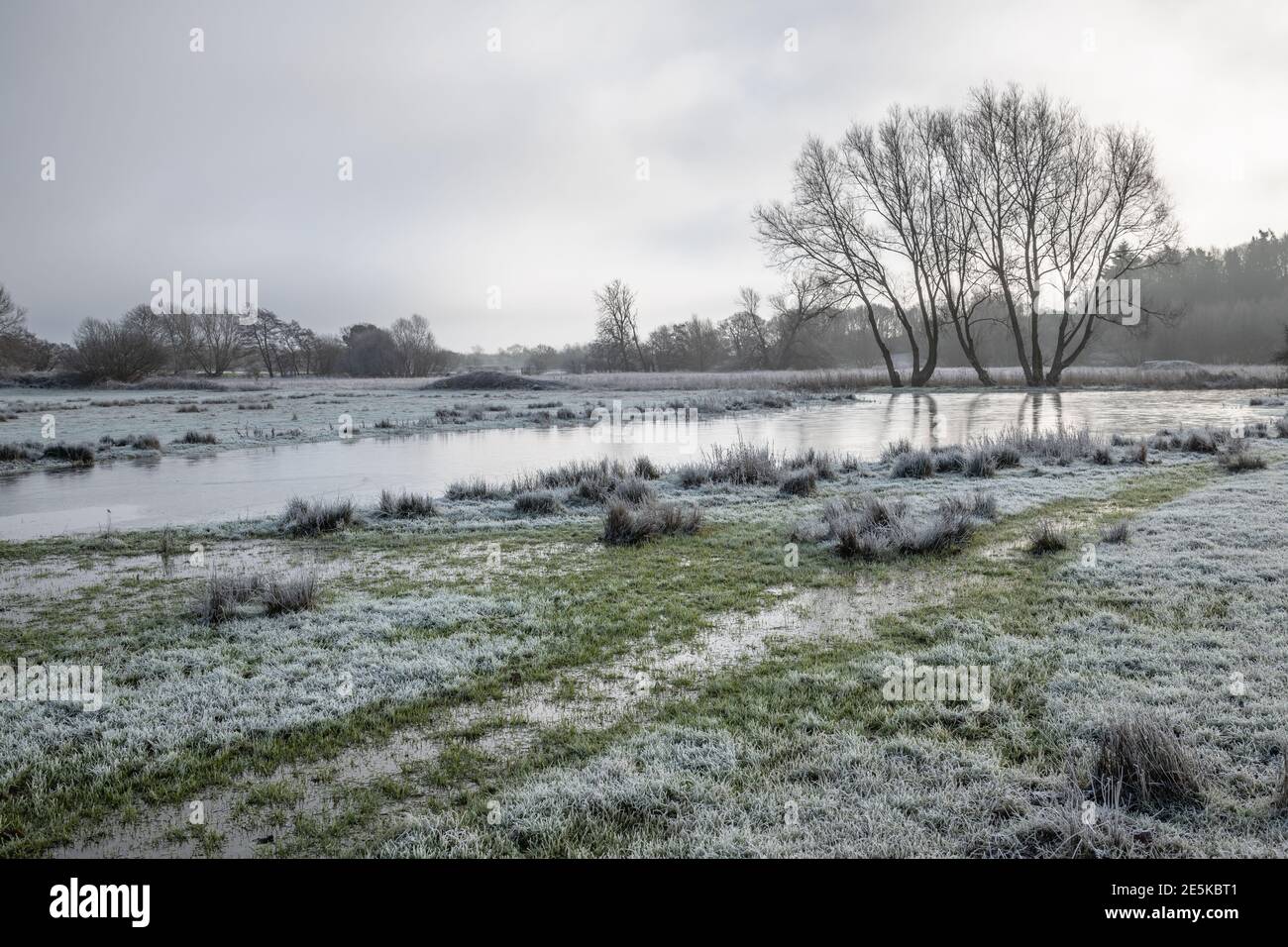 Flooded water meadow in Suffolk Stock Photo - Alamy