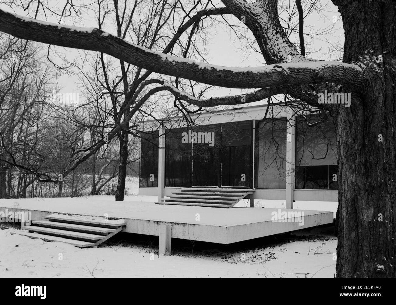 Mies van der Rohe photo Farnsworth House Plano USA 4 Stock Photo - Alamy