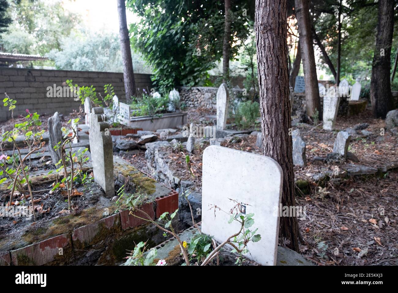 Old Islamic graveyard focusing on the tombstones Stock Photo - Alamy