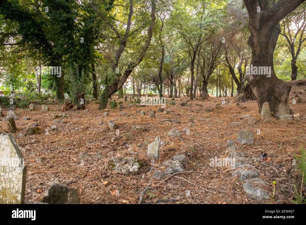 Old Islamic graveyard focusing on the tombstones Stock Photo - Alamy