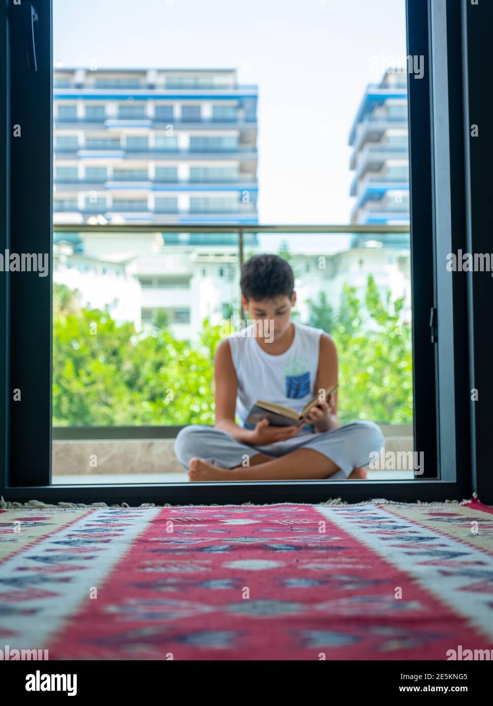 Young boy reading a book in the balcony Stock Photo - Alamy
