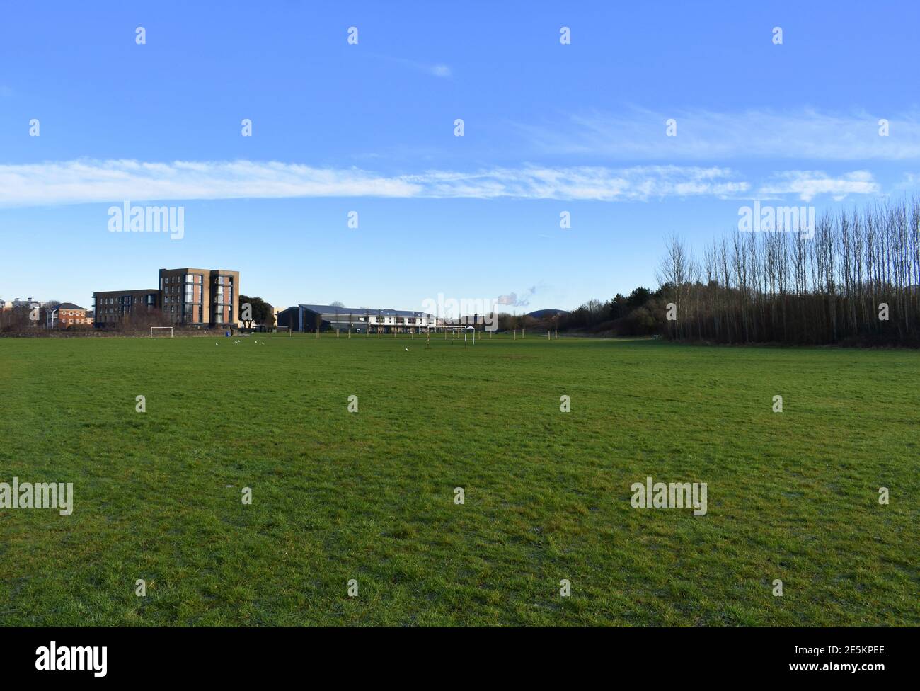 Hamadryad Park, Cardiff Bay, Cardiff, Wales Stock Photo - Alamy