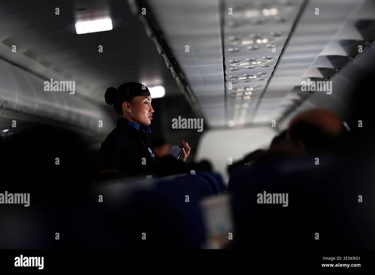 Air india flight attendant hi-res stock photography and images - Alamy