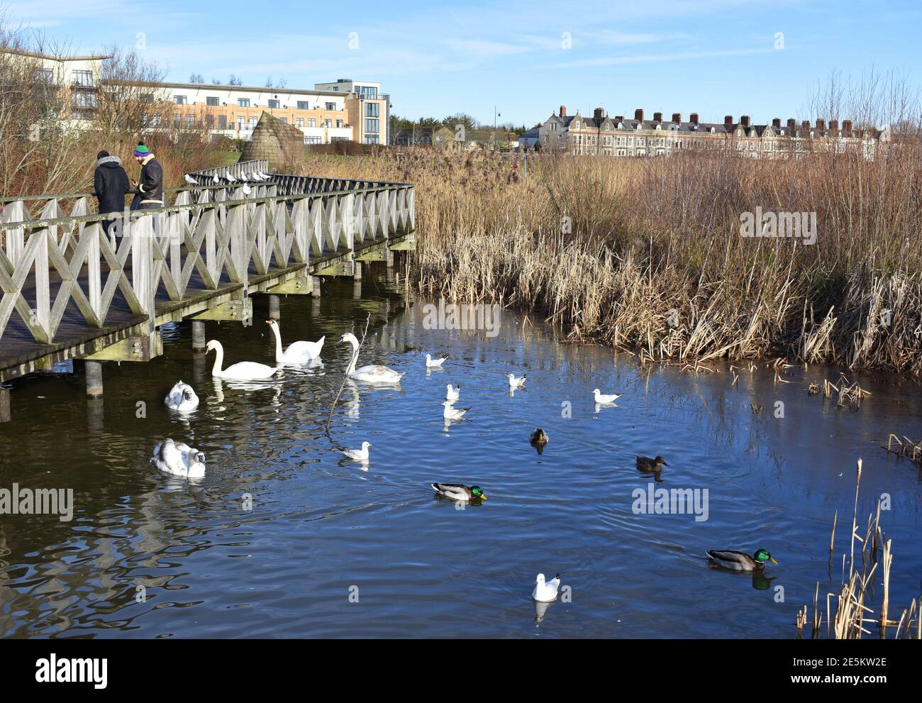 Cardiff bay from water hi-res stock photography and images - Alamy