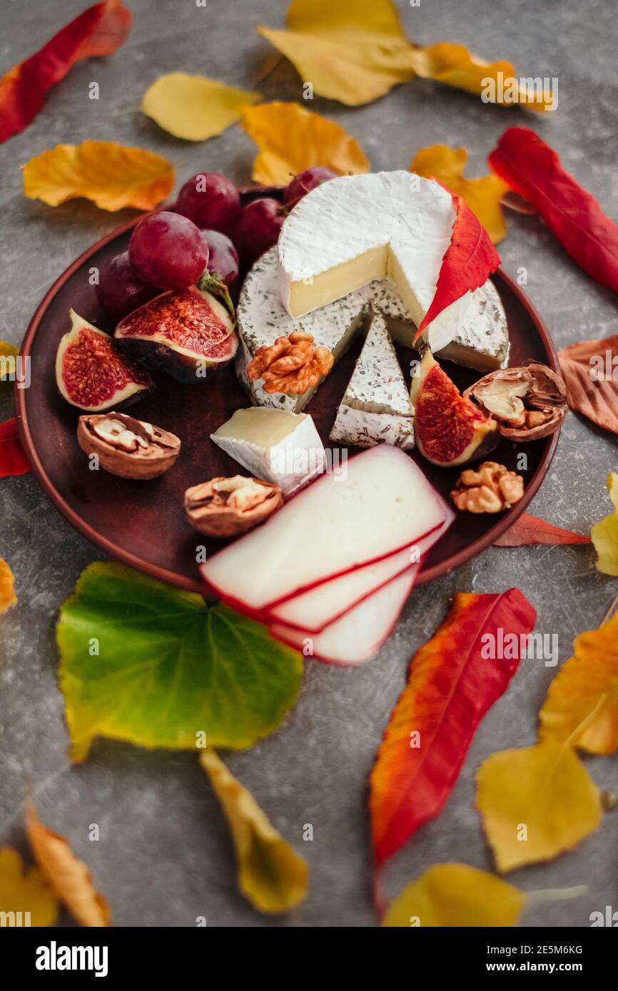 Taste motives and mood. Set of cheese in autumn leaves with honey ...