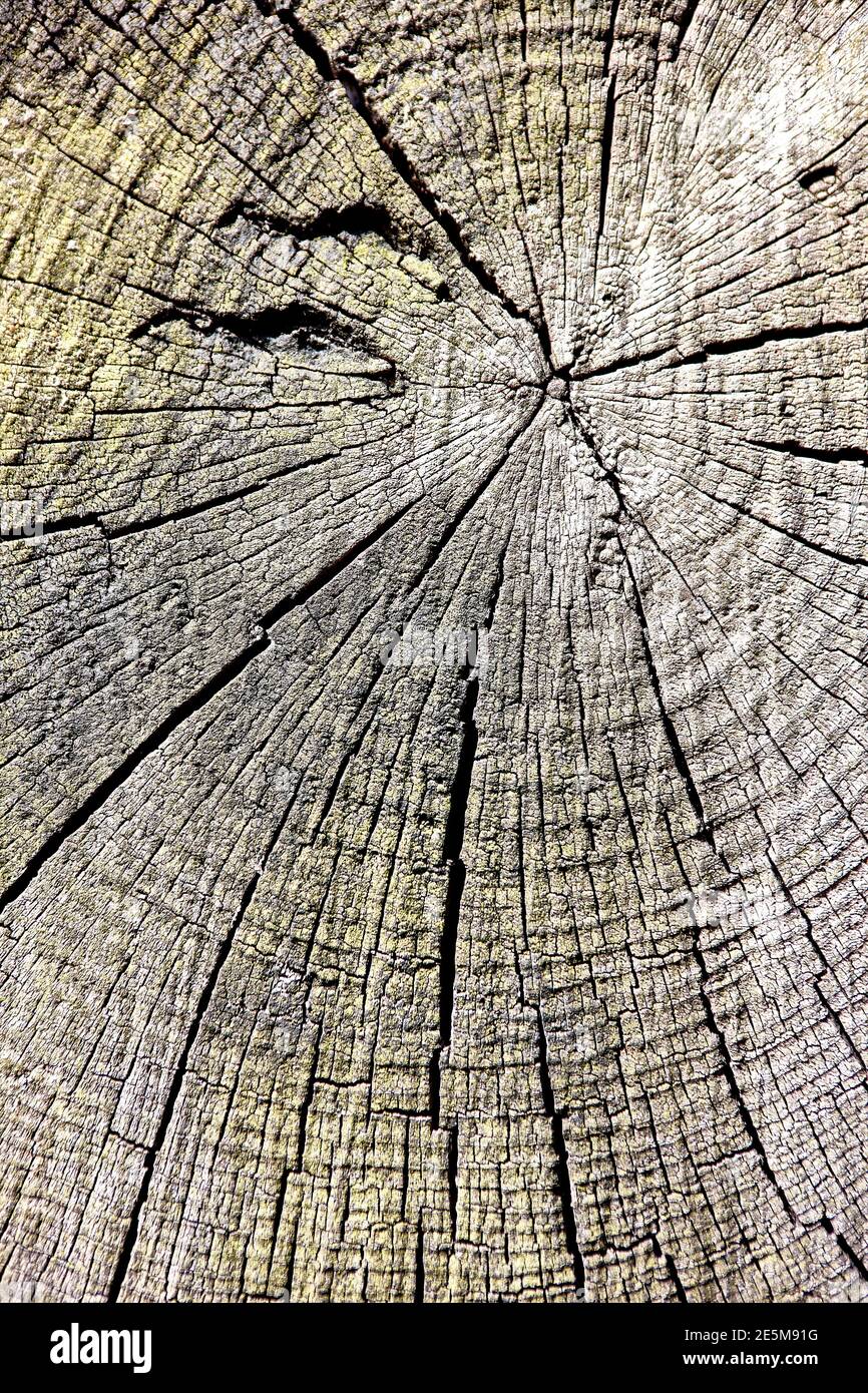 Rough timber posts hi-res stock photography and images - Alamy