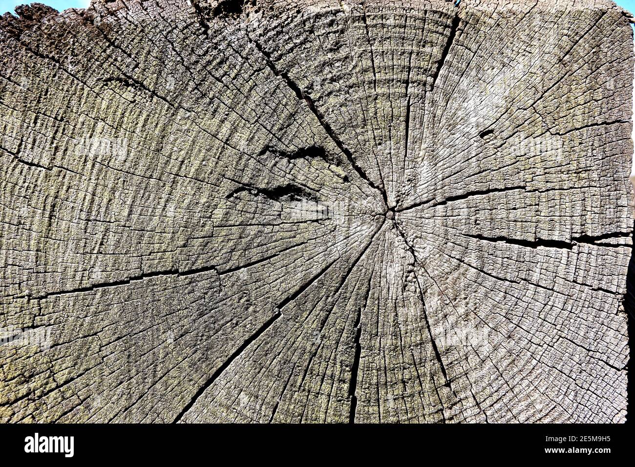 Old wooden posts in Newcastle Upon Tyne, Tyneside, North East England ...