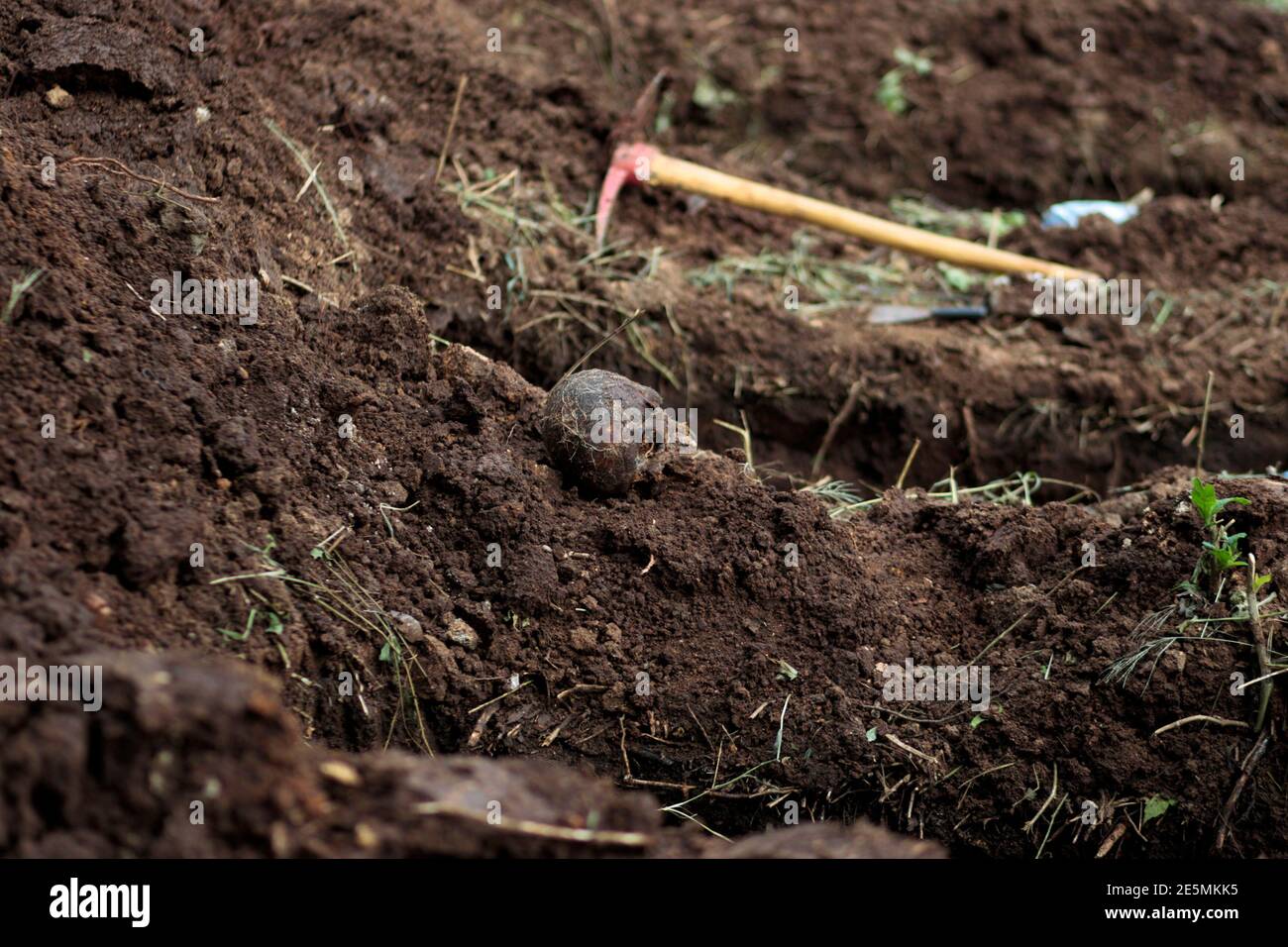 Human skull in the sand hi-res stock photography and images - Alamy