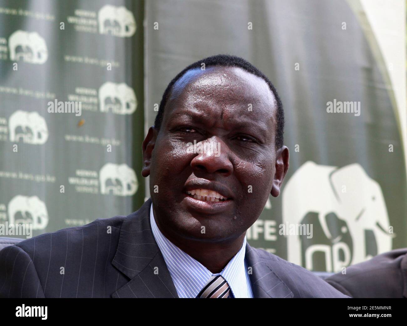 Elephants 384 hi-res stock photography and images - Alamy