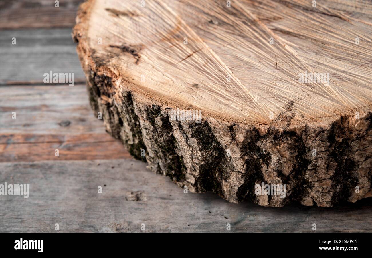 cross section of the big old tree on a rustic table Stock Photo - Alamy