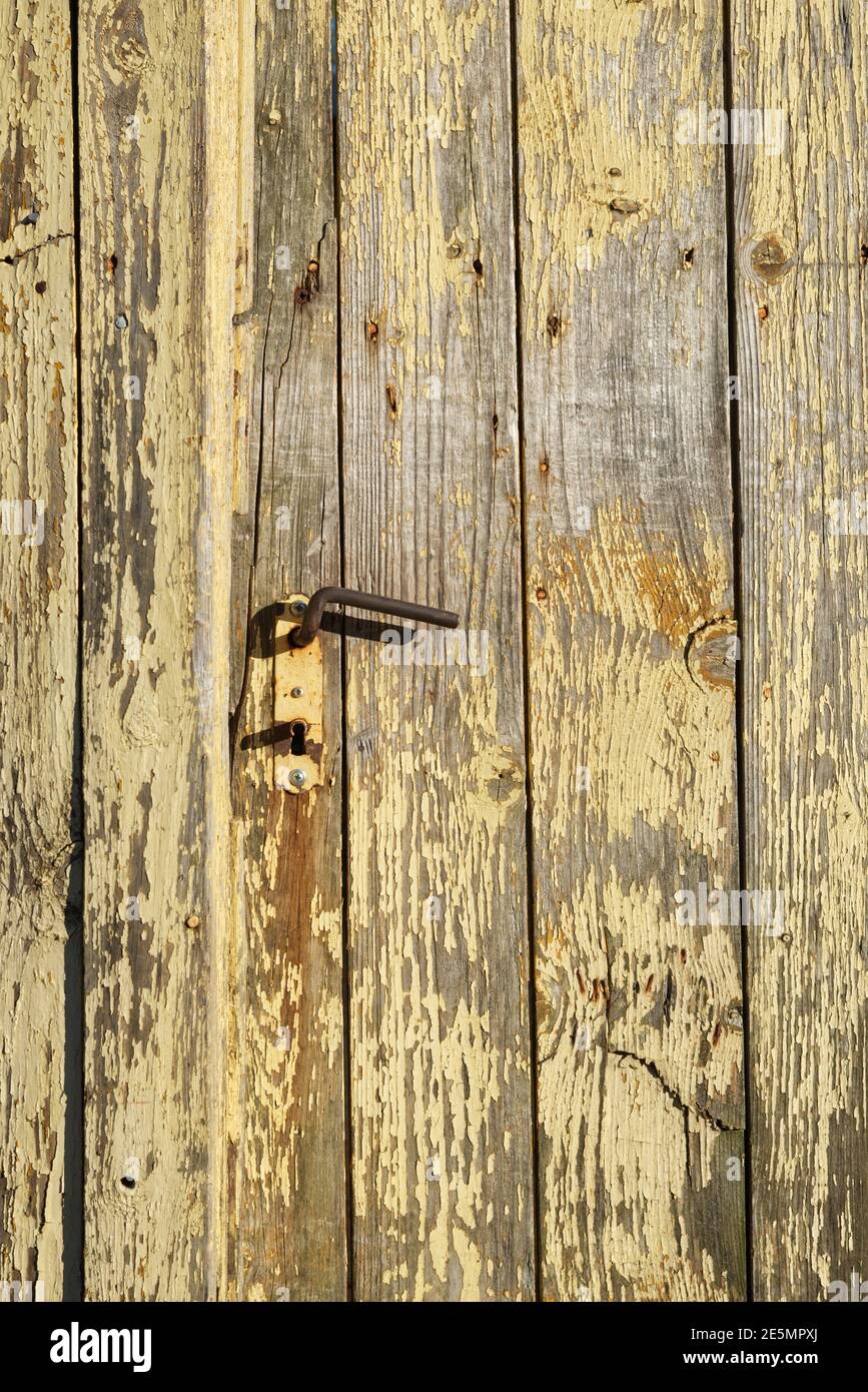 Old wooden gate or door with doorhandle, wood texture with abrased ...