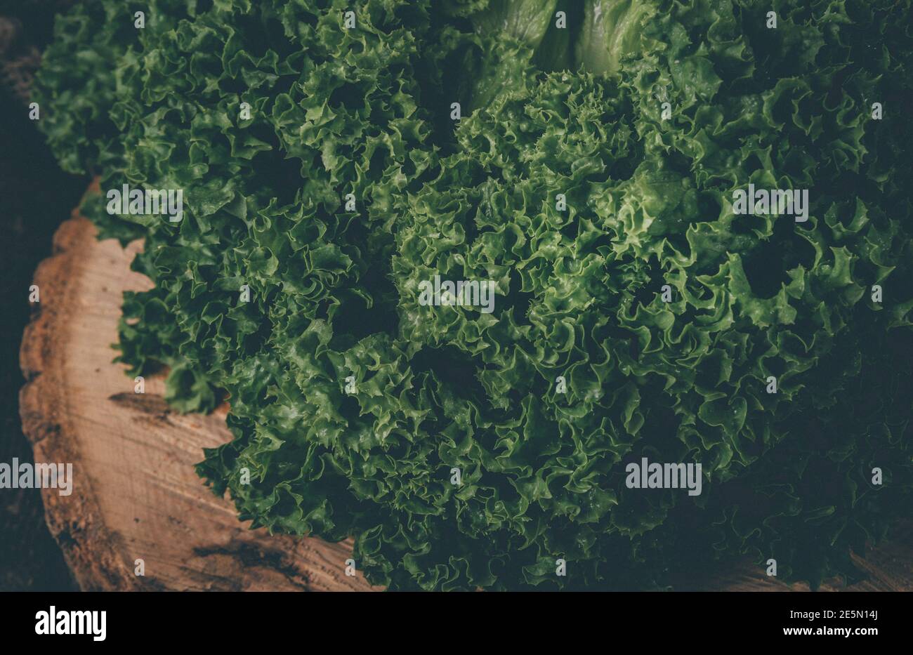 Green batavia lettuce salad on wooden background. toned Stock Photo - Alamy