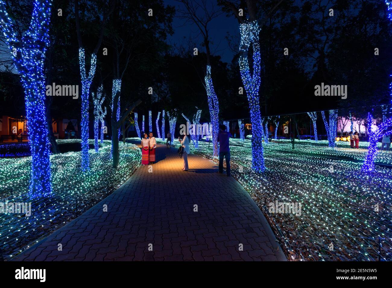 Lighting decorate on the tree in lighting festival showing countdown ...