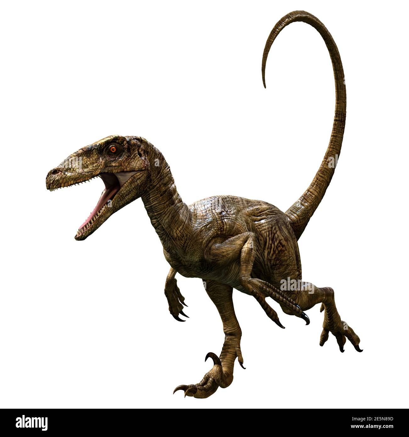 Deinonychus antirrhopus hi-res stock photography and images - Alamy