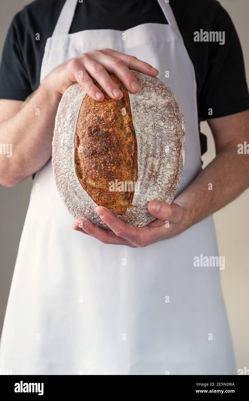 Close-up at bakers hands holding a loaf of organic sourdough bread in ...