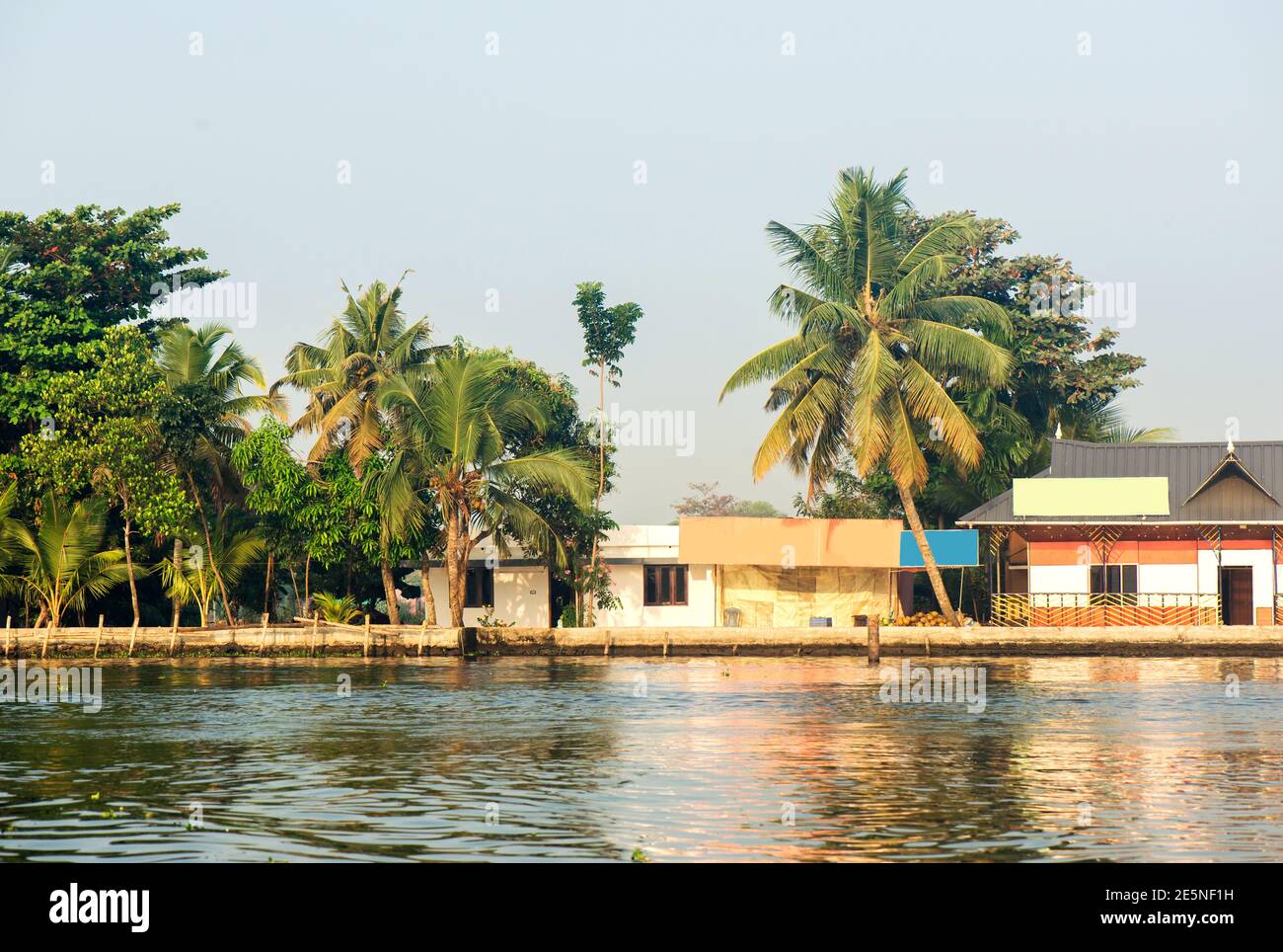 Travel to beautiful Kerala backwaters and enjoy the palm tree landscape ...