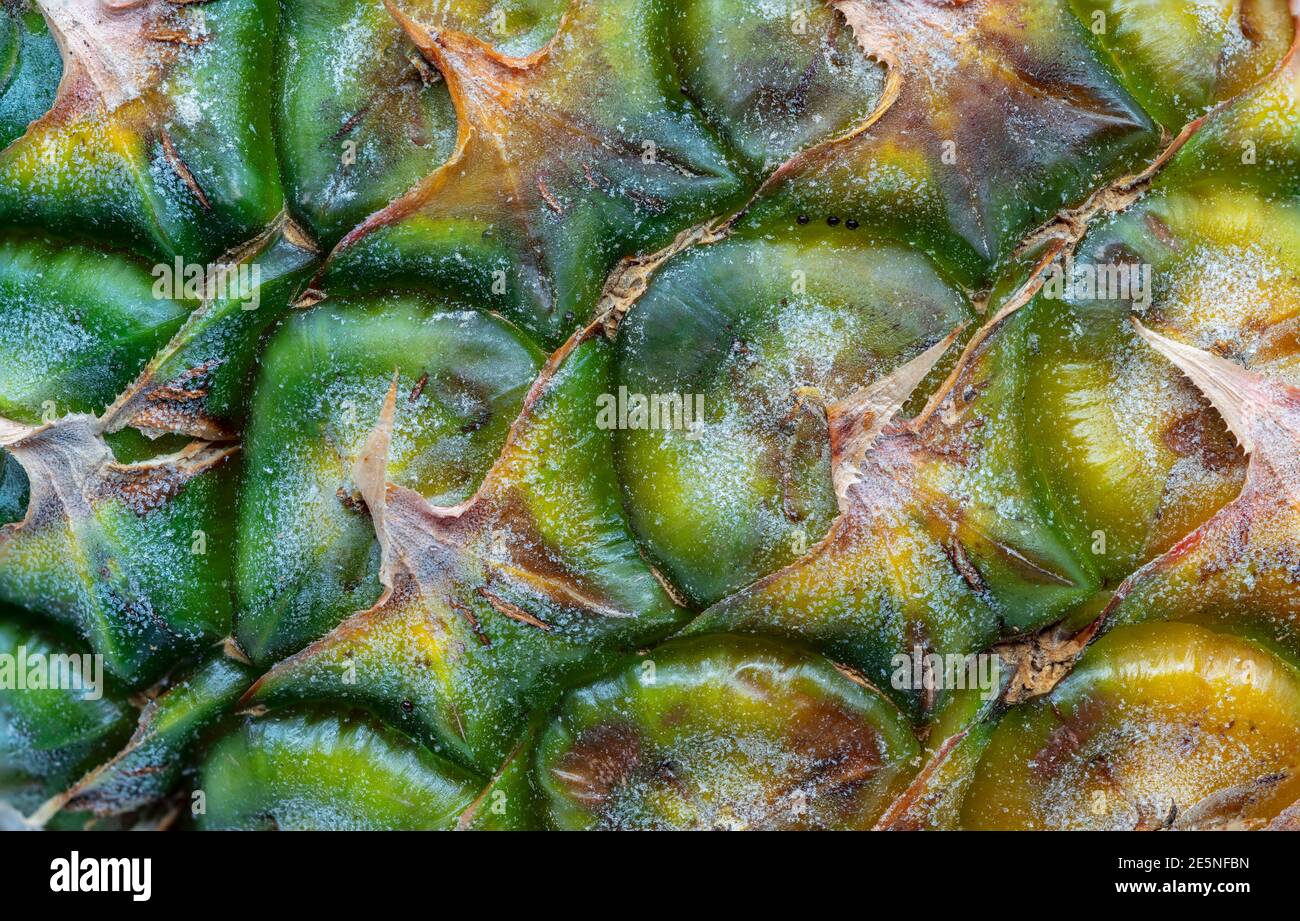 Macro pineapple's skin, beautiful texture, and colors of glossy skin ...