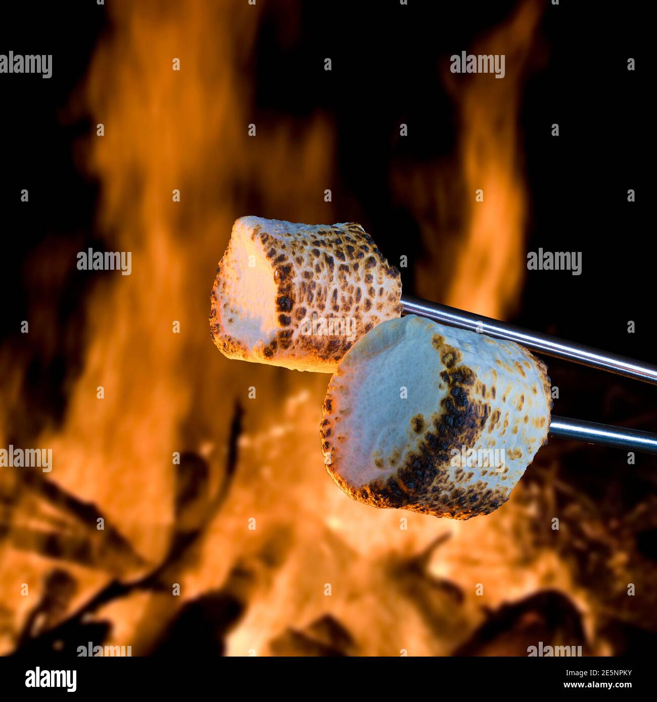 Two marshmallows being roasted over a campfire to make smores Stock ...