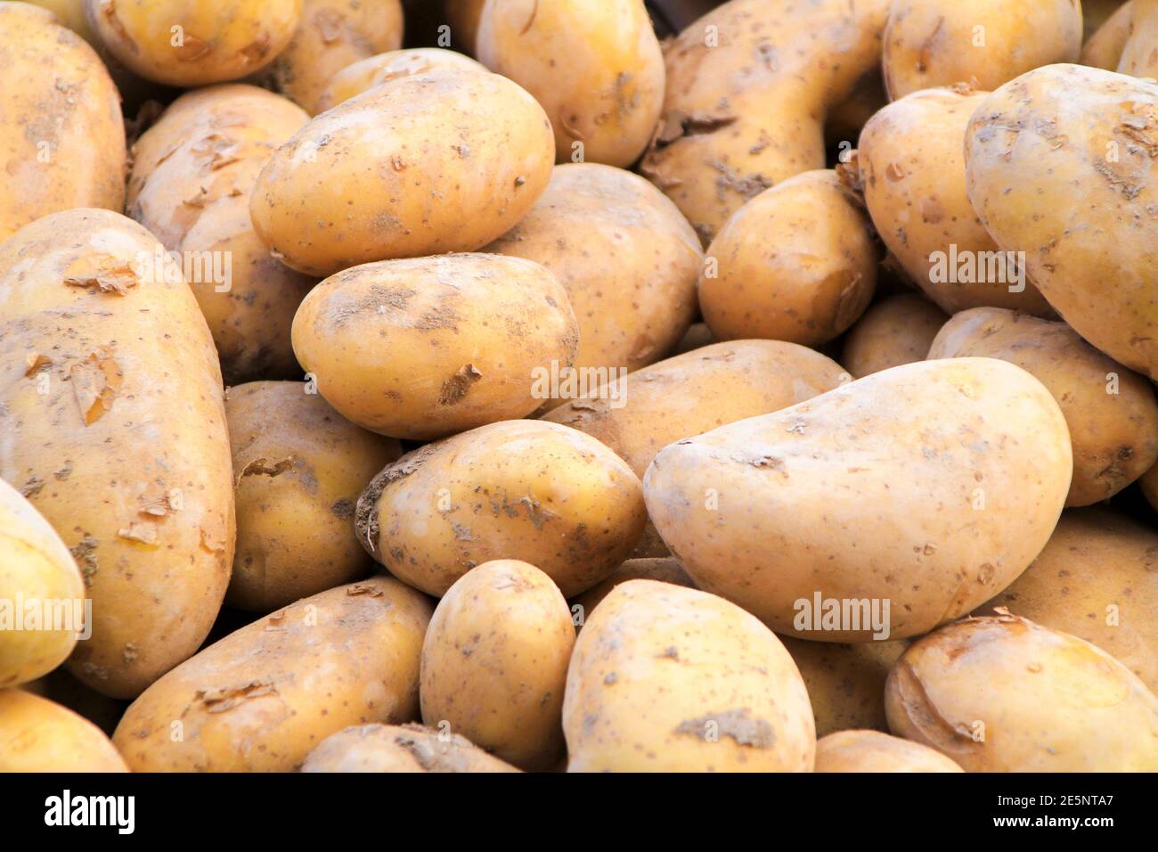 Floury potatoes hi-res stock photography and images - Alamy
